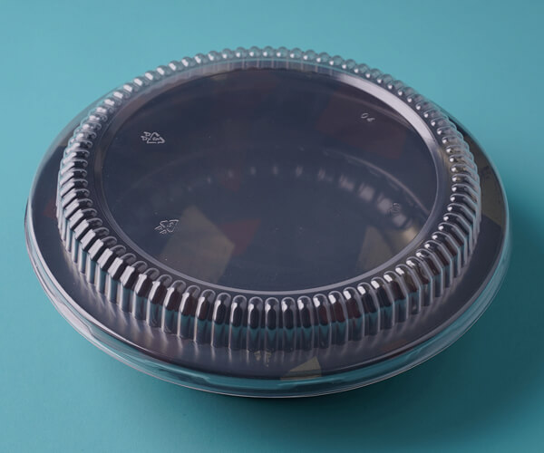 Takeaway Microwavable Plastic Disposable Bento Food Storage Lunch Boxes ...